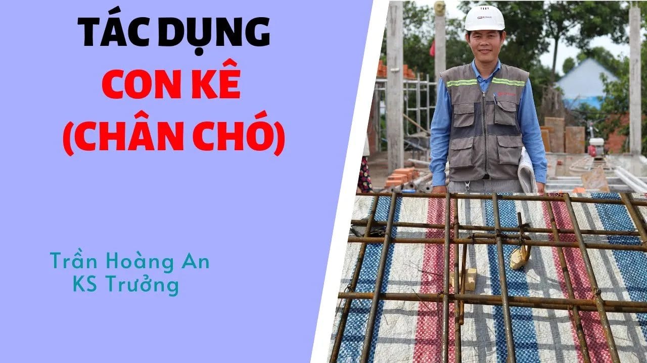 Tác Dụng Của Con Kê Chân Chó - Theo TCTC Butecco